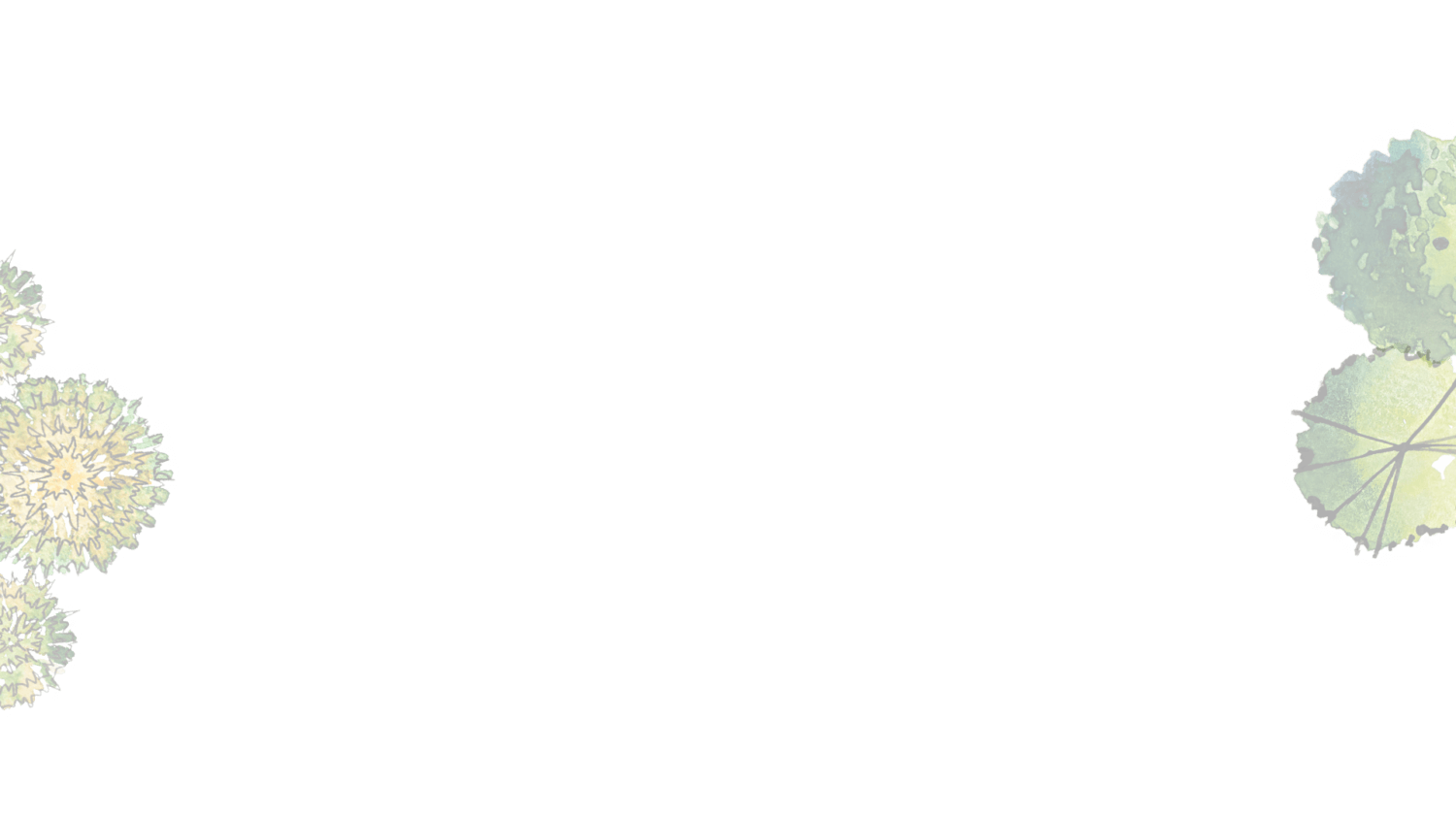 Gallery – Hanselman Landscape & Gardens