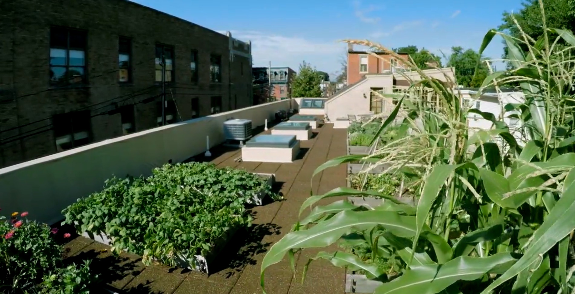 Hanselman Landscape and Gardens