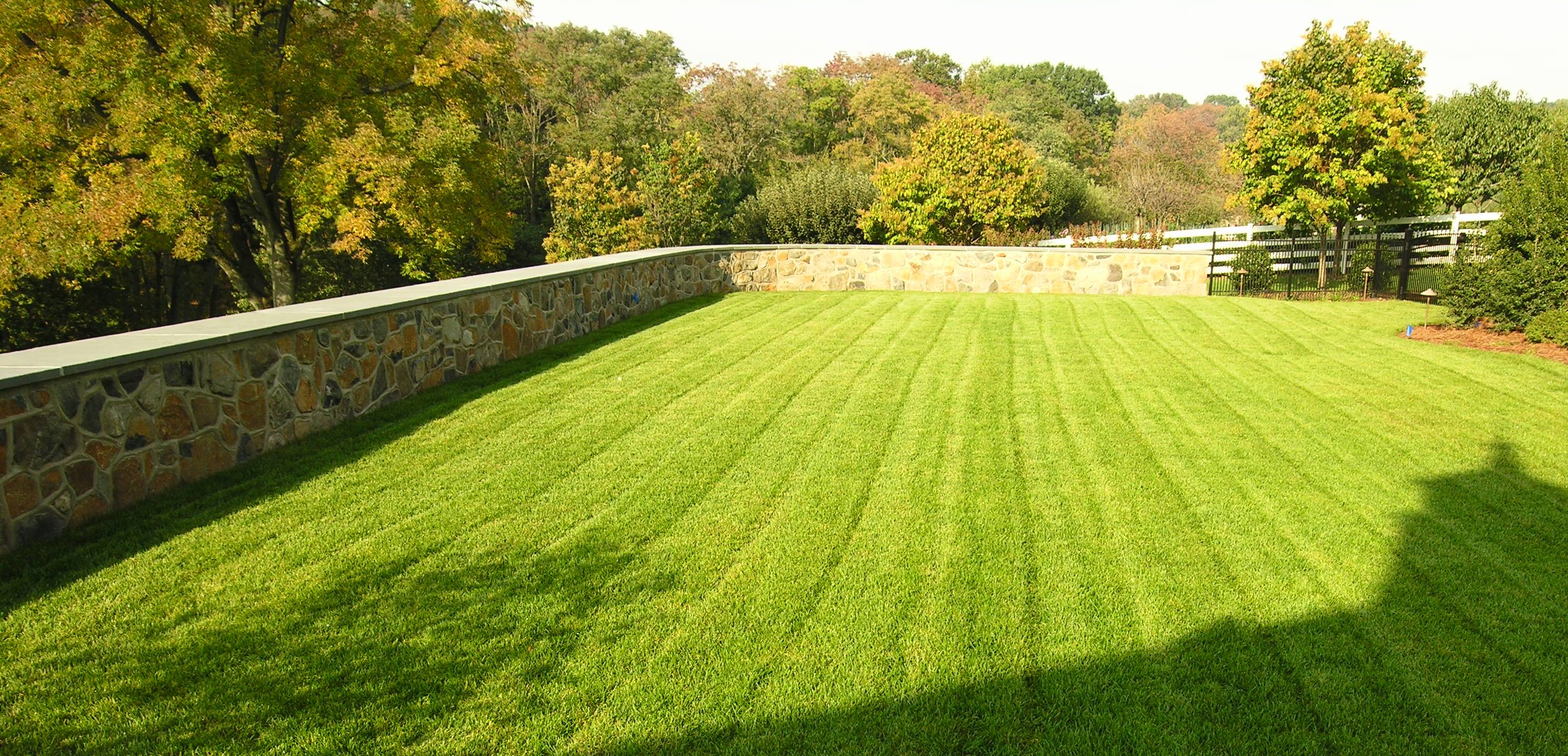 Commercial and Residential Lawn Maintenance Service