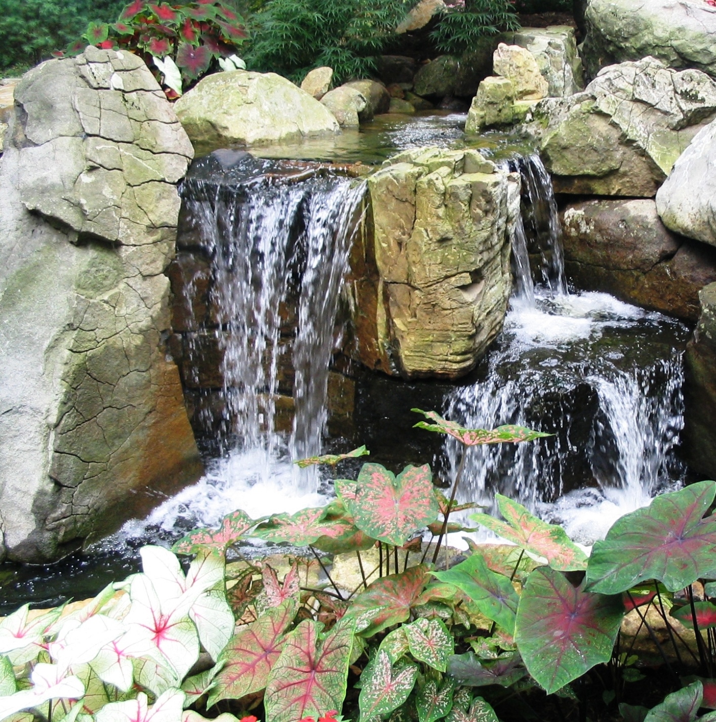 Pond, Backyard Garden Stream, Waterfall & Water Features