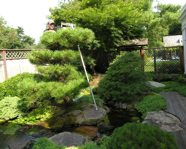 CARE TO CARE: Realizing Your Garden Vision With Appropriate Care ...