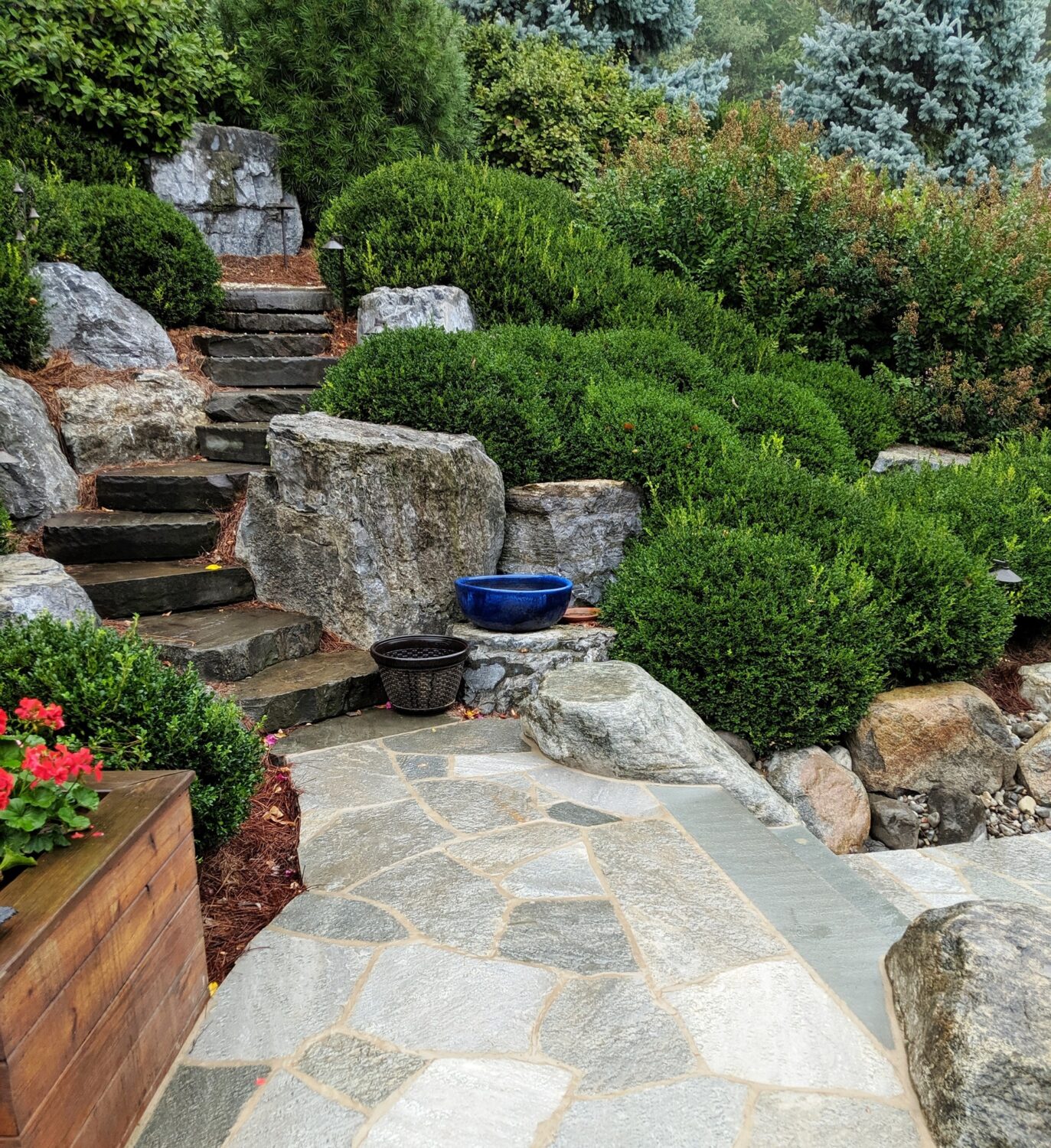REASONS TO STAY: Transforming A Back Yard Into A Garden Oasis With ...