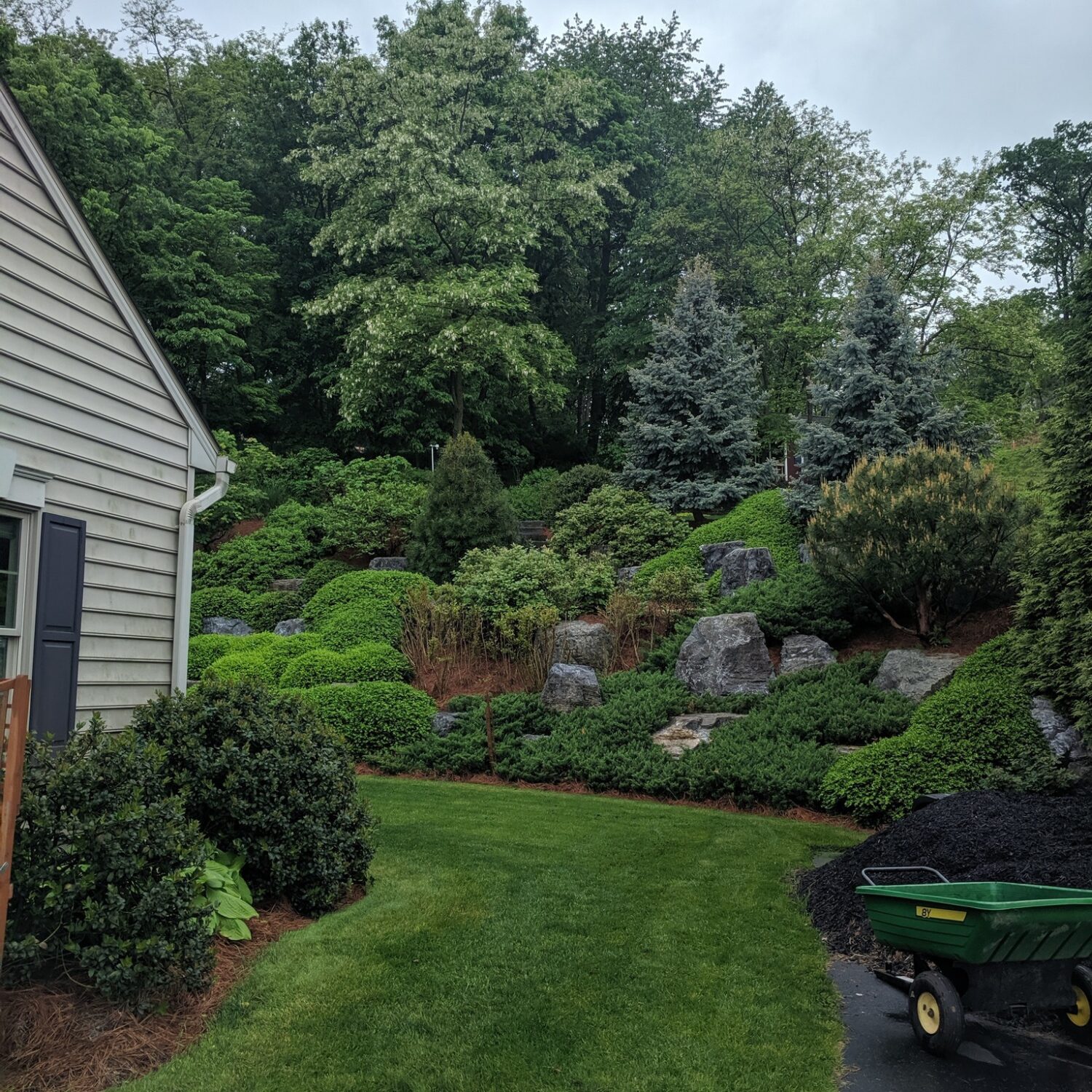 REASONS TO STAY: Transforming A Back Yard Into A Garden Oasis With ...