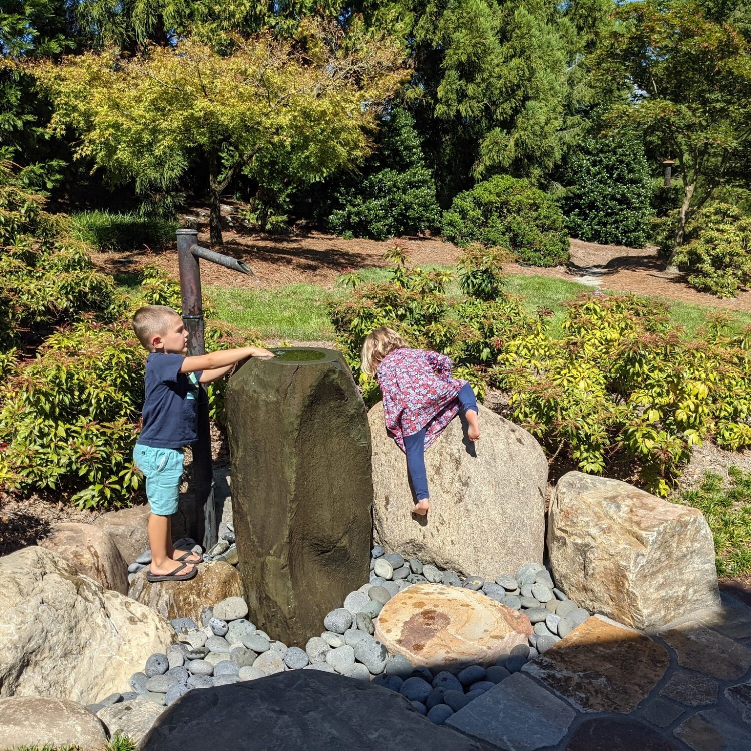 SEPTEMBER AFTERNOON GARDEN VIEWS – Hanselman Landscape & Gardens