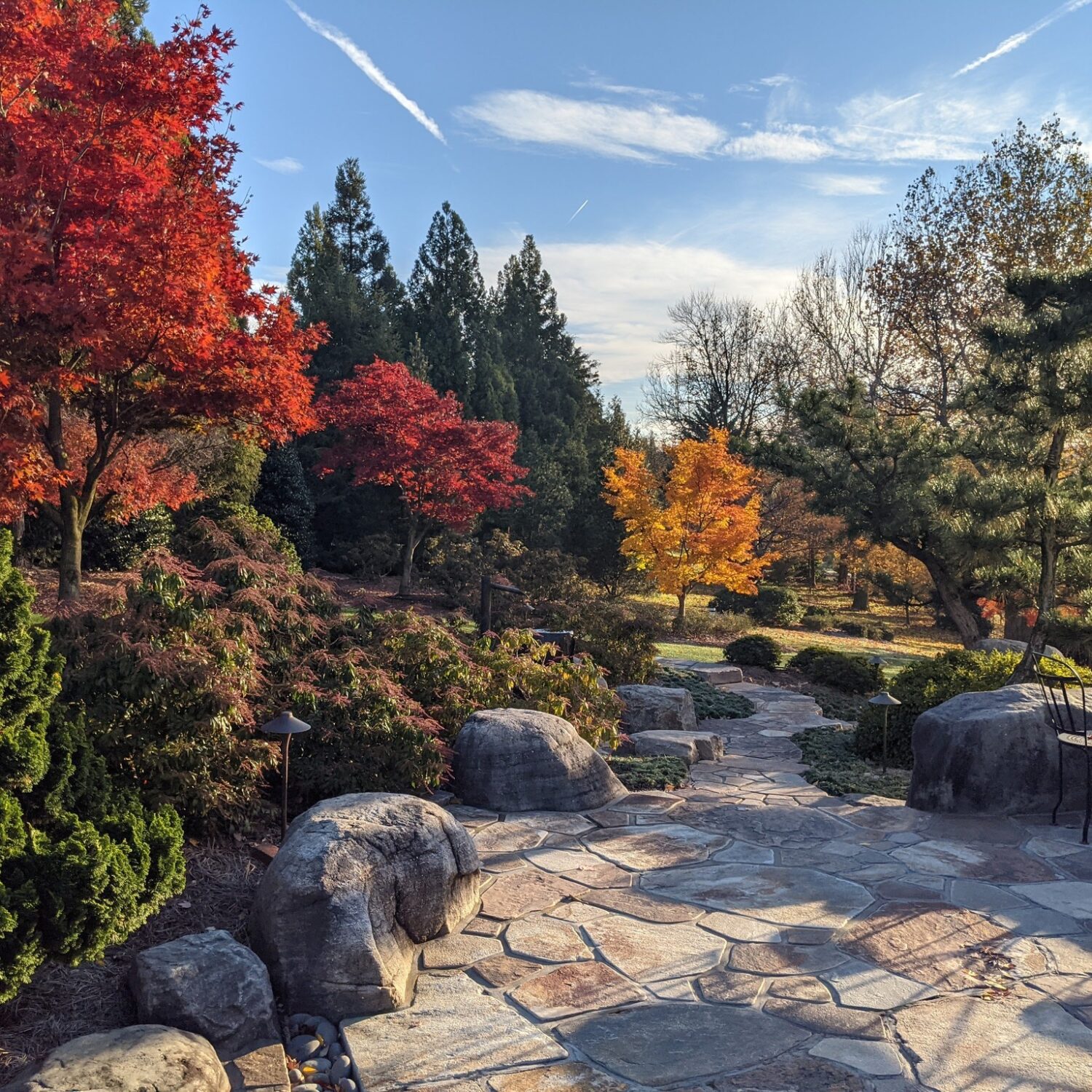 A GARDEN FOR ALL SEASONS – Hanselman Landscape & Gardens