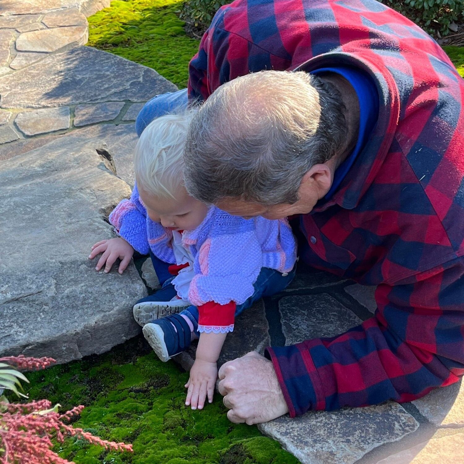 MARVELOUS MOSS – Hanselman Landscape & Gardens