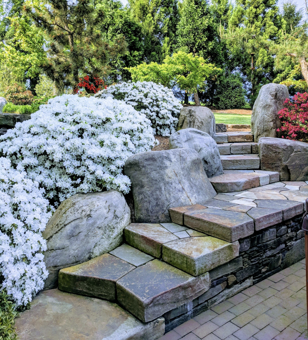 GREEN THINGS GROWING – Hanselman Landscape & Gardens