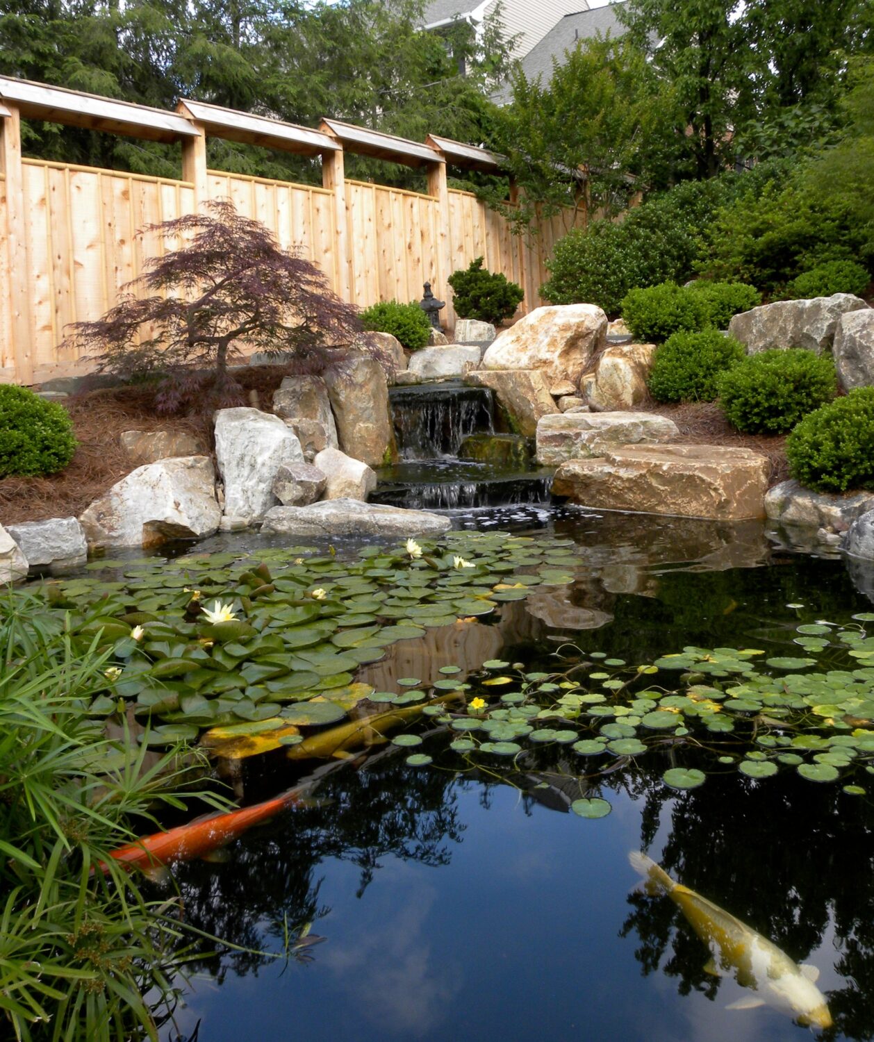 THE EYE OF THE GARDEN . . . – Hanselman Landscape & Gardens