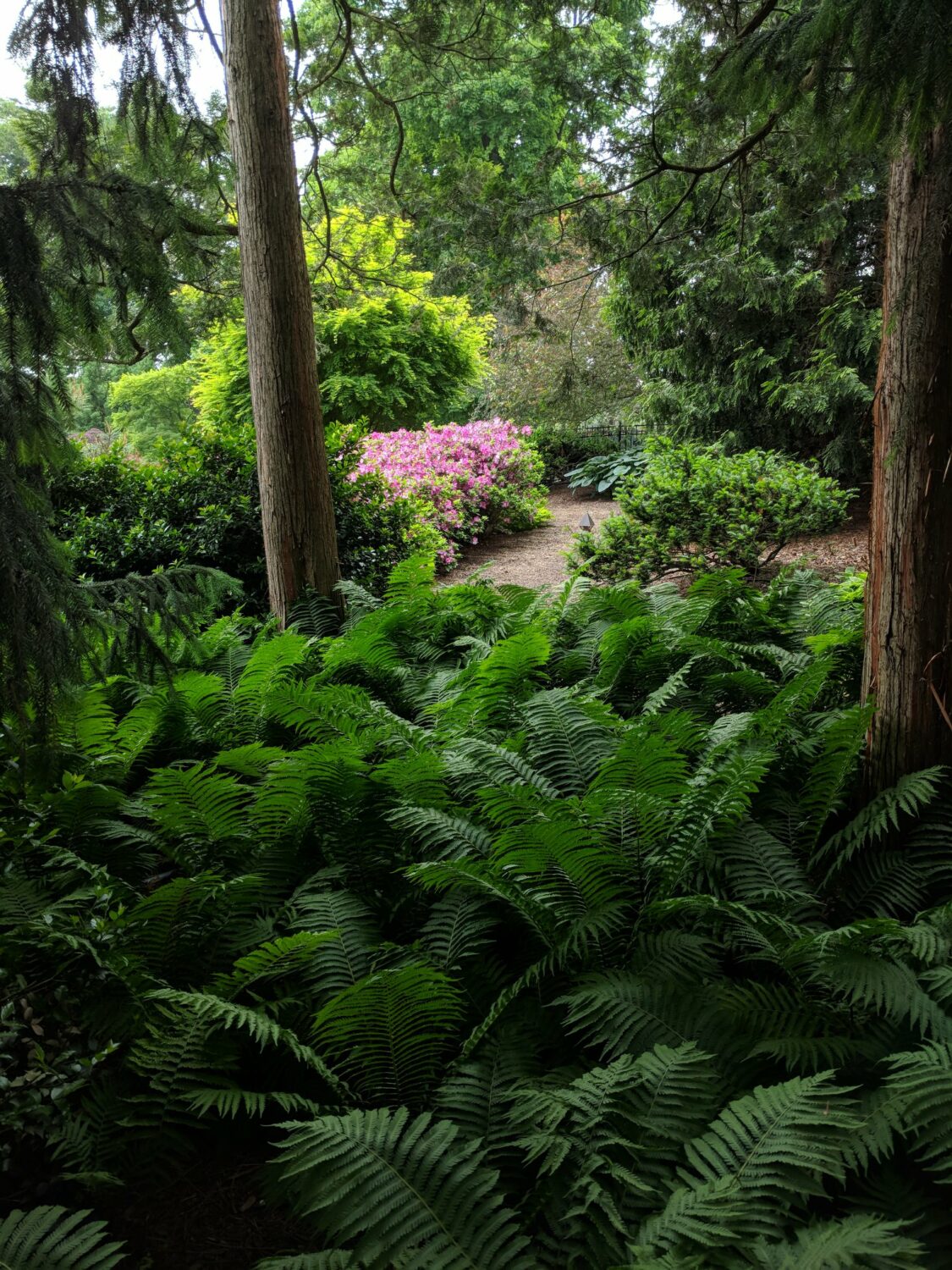A PLACE TO BREATHE DEEPLY . . . . – Hanselman Landscape & Gardens
