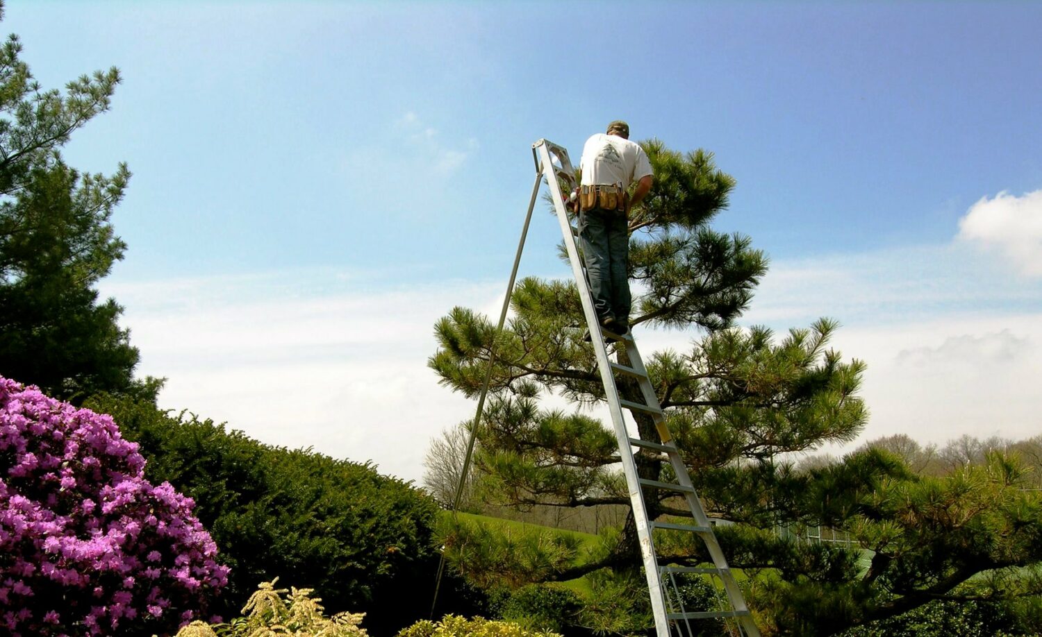 A GARDEN TO TEND AND NURTURE . . . . – Hanselman Landscape & Gardens