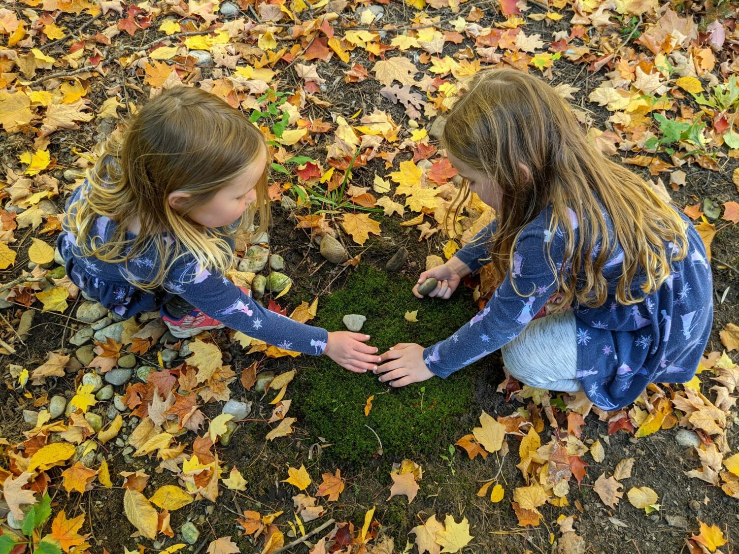 GOD'S GRACE... – Hanselman Landscape & Gardens