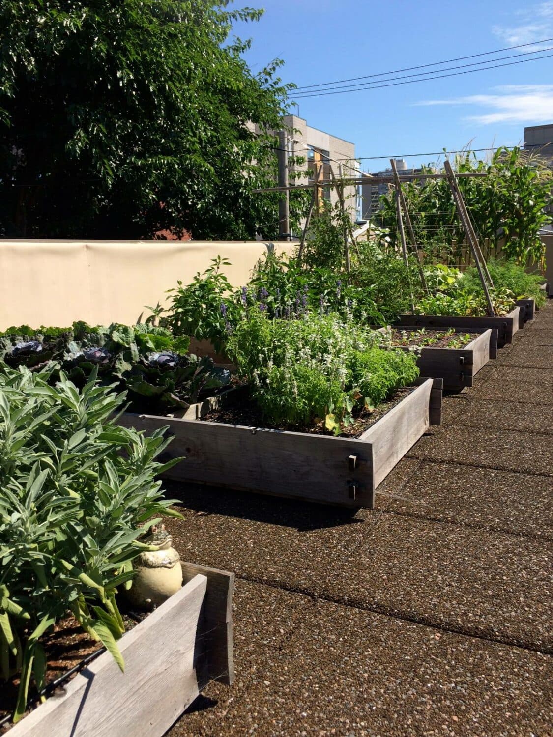 Rooftop Garden Design And Installation In Lancaster, PA