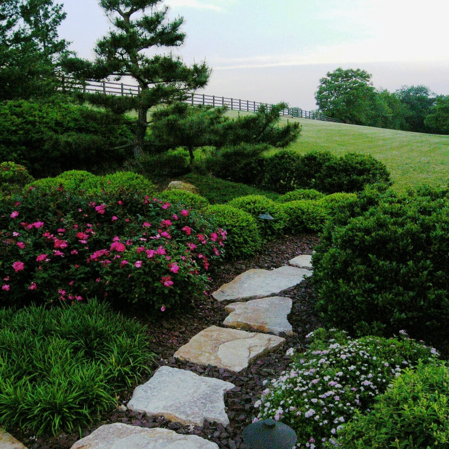 A BEAUTIFUL WORLD . . . RIGHT OUTSIDE OUR DOORS! – Hanselman Landscape ...