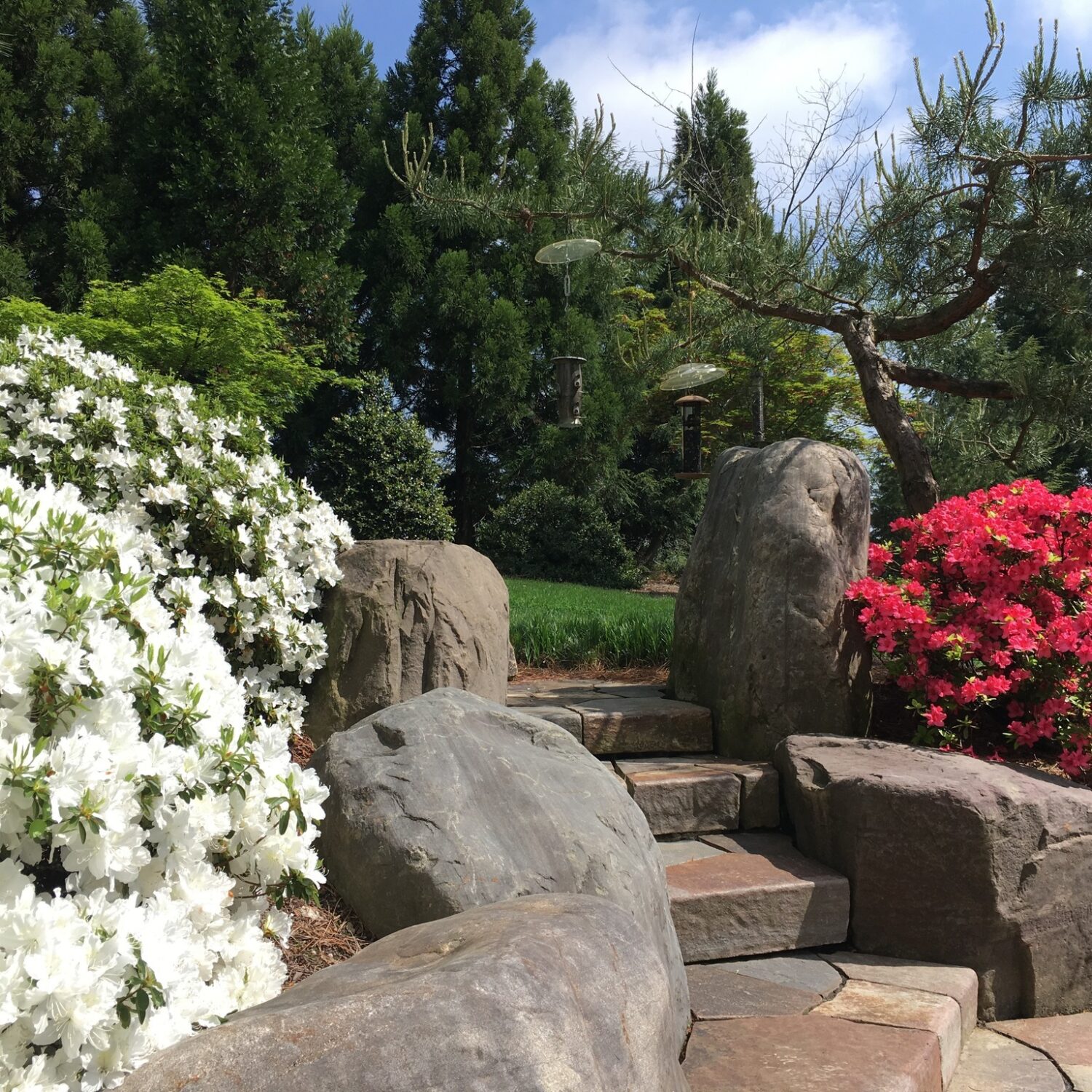 A BEAUTIFUL WORLD . . . RIGHT OUTSIDE OUR DOORS! – Hanselman Landscape ...