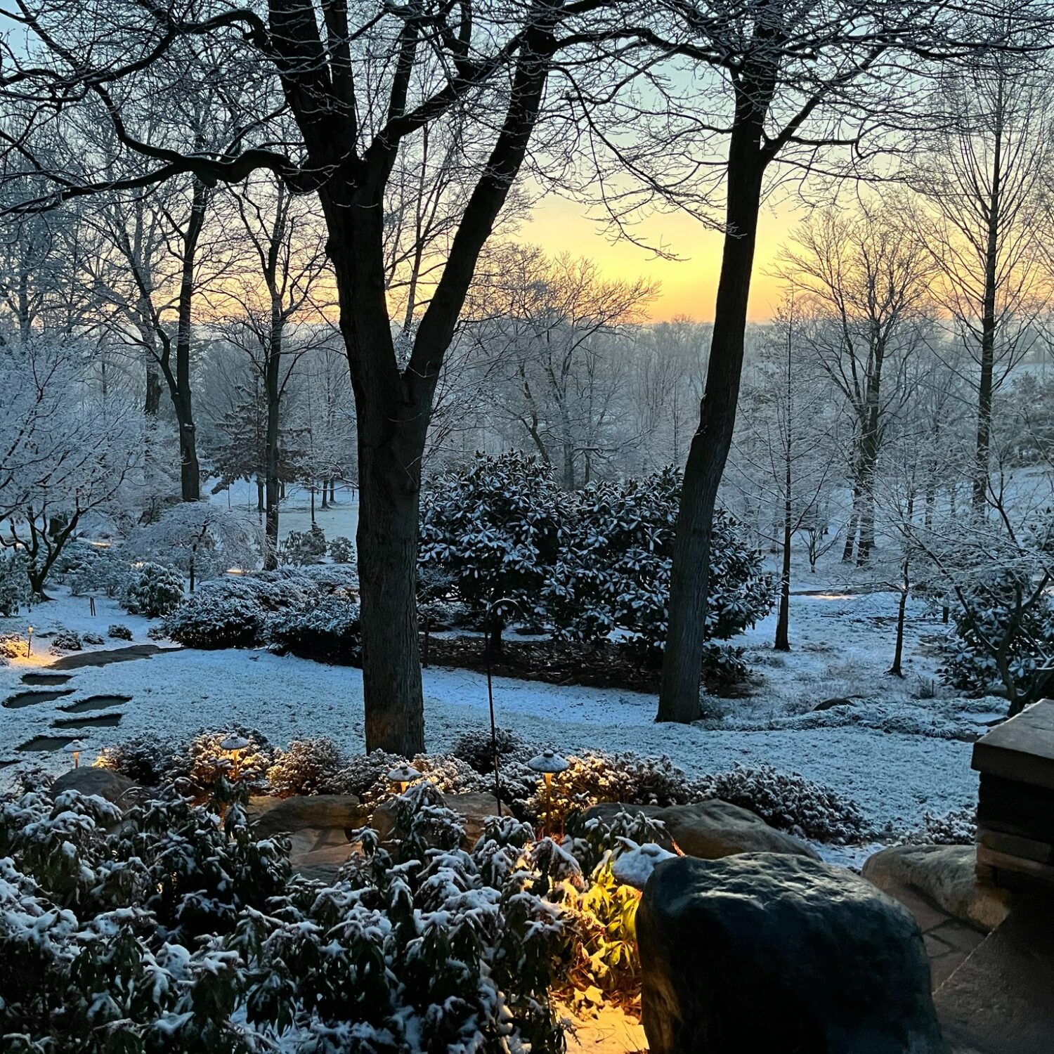 GARDENING IN JANUARY – Hanselman Landscape & Gardens