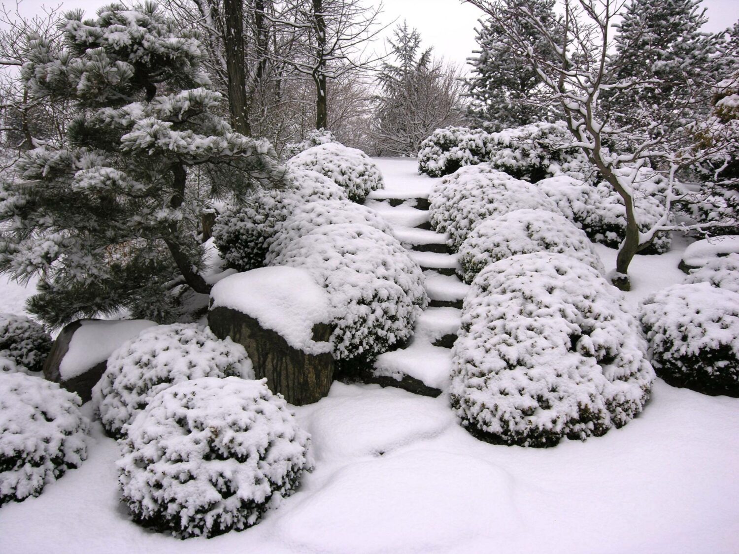 PAUSE & PREPARATION – Hanselman Landscape & Gardens