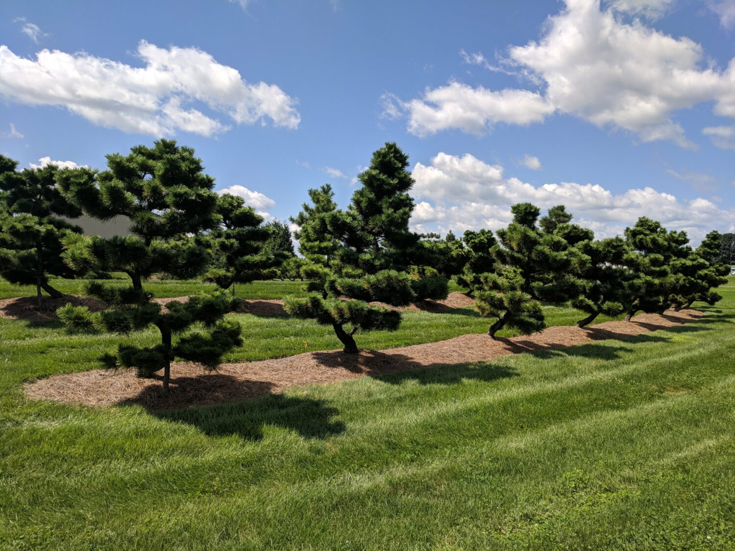 Our Awards – Hanselman Landscape & Gardens