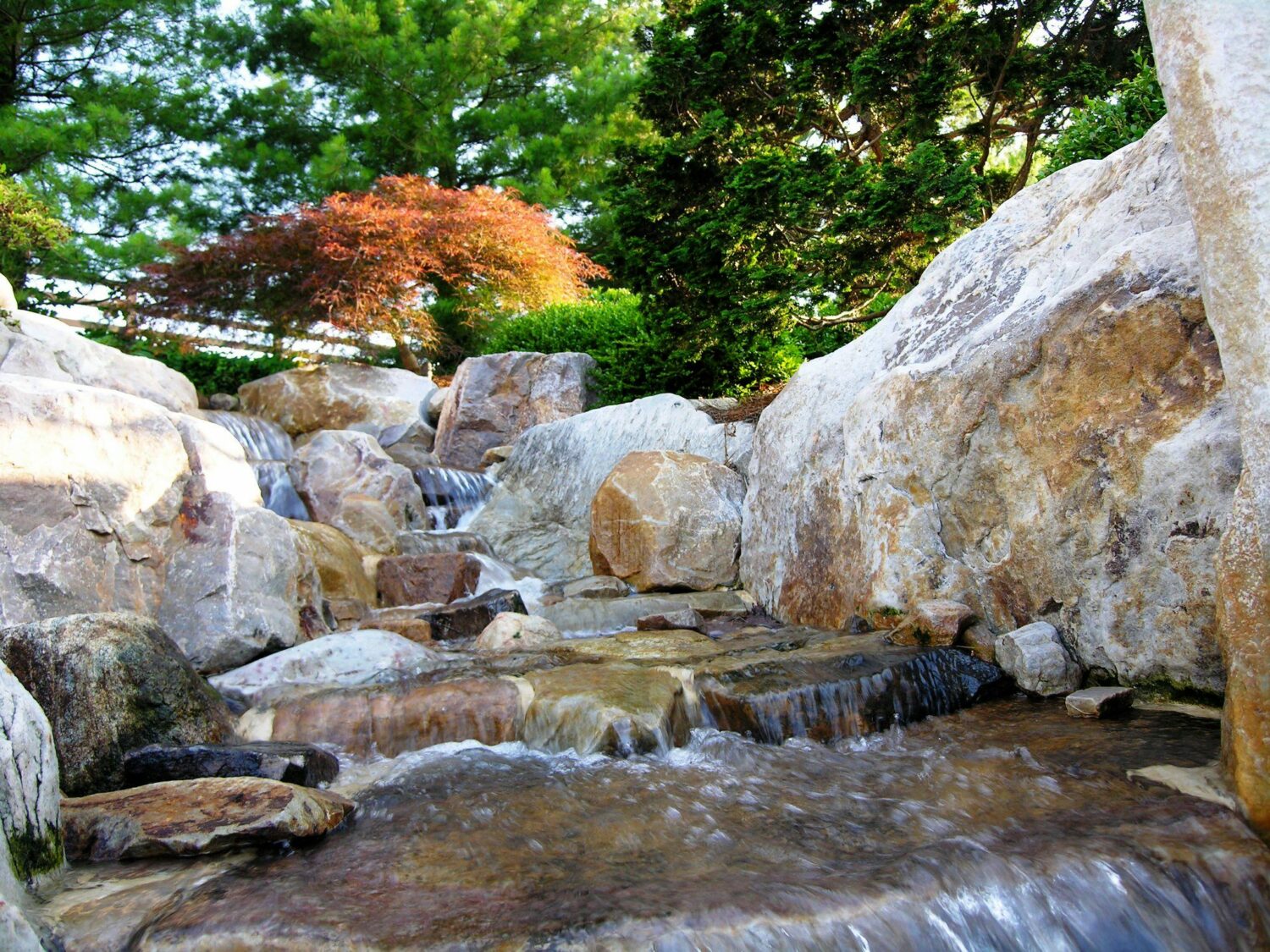 Pond, Backyard Garden Stream, Waterfall & Water Features