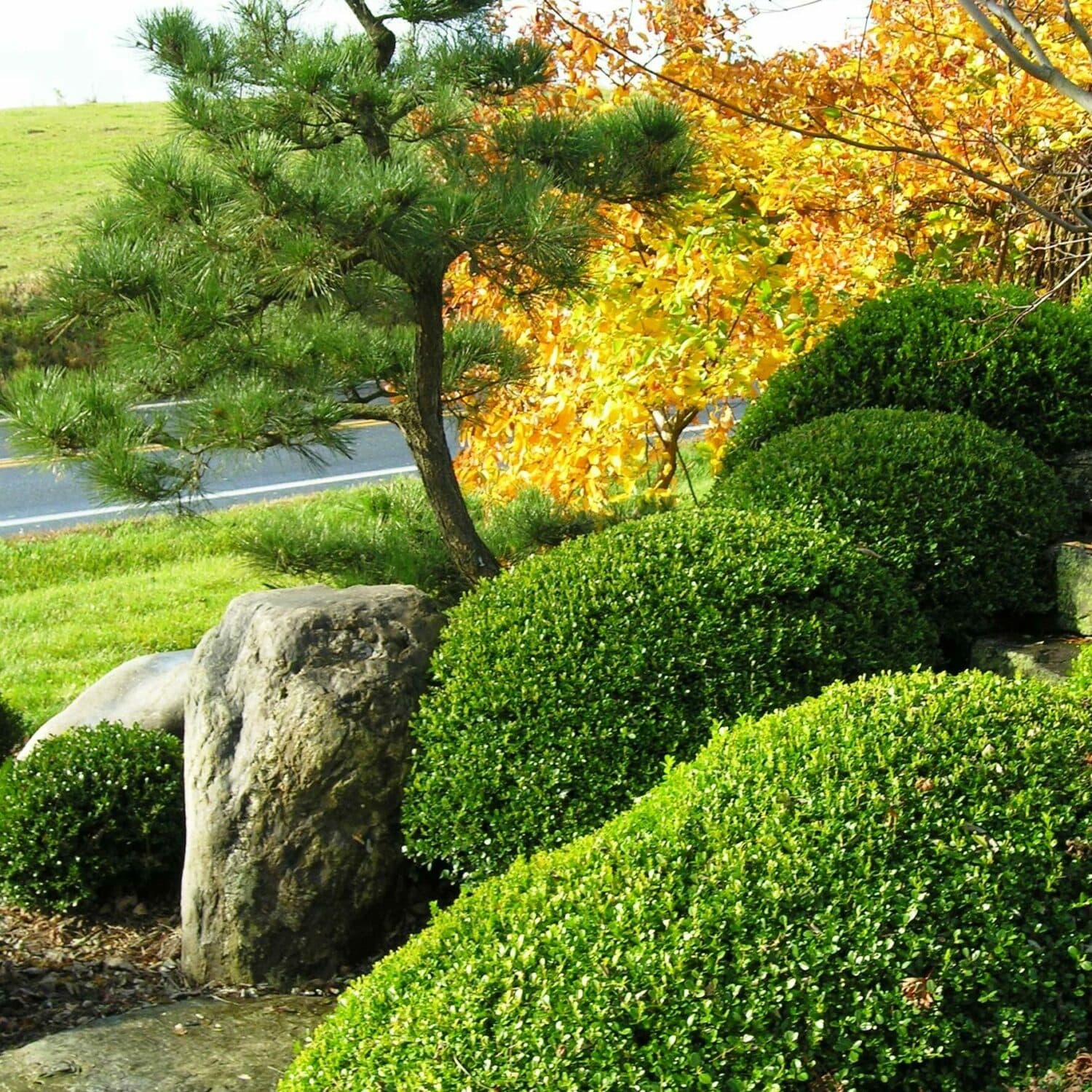 Boulder And Natural Stone Landscaping | Hanselman Landscape