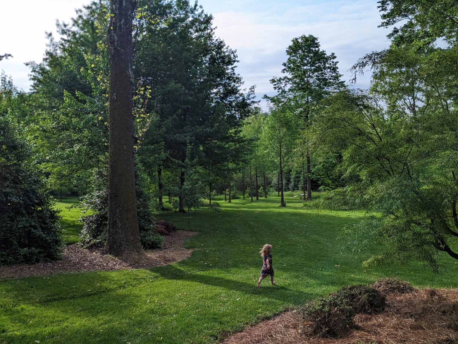 Home In A Garden – Hanselman Landscape & Gardens