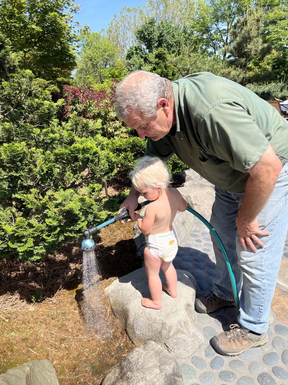 Garden Lessons... – Hanselman Landscape & Gardens