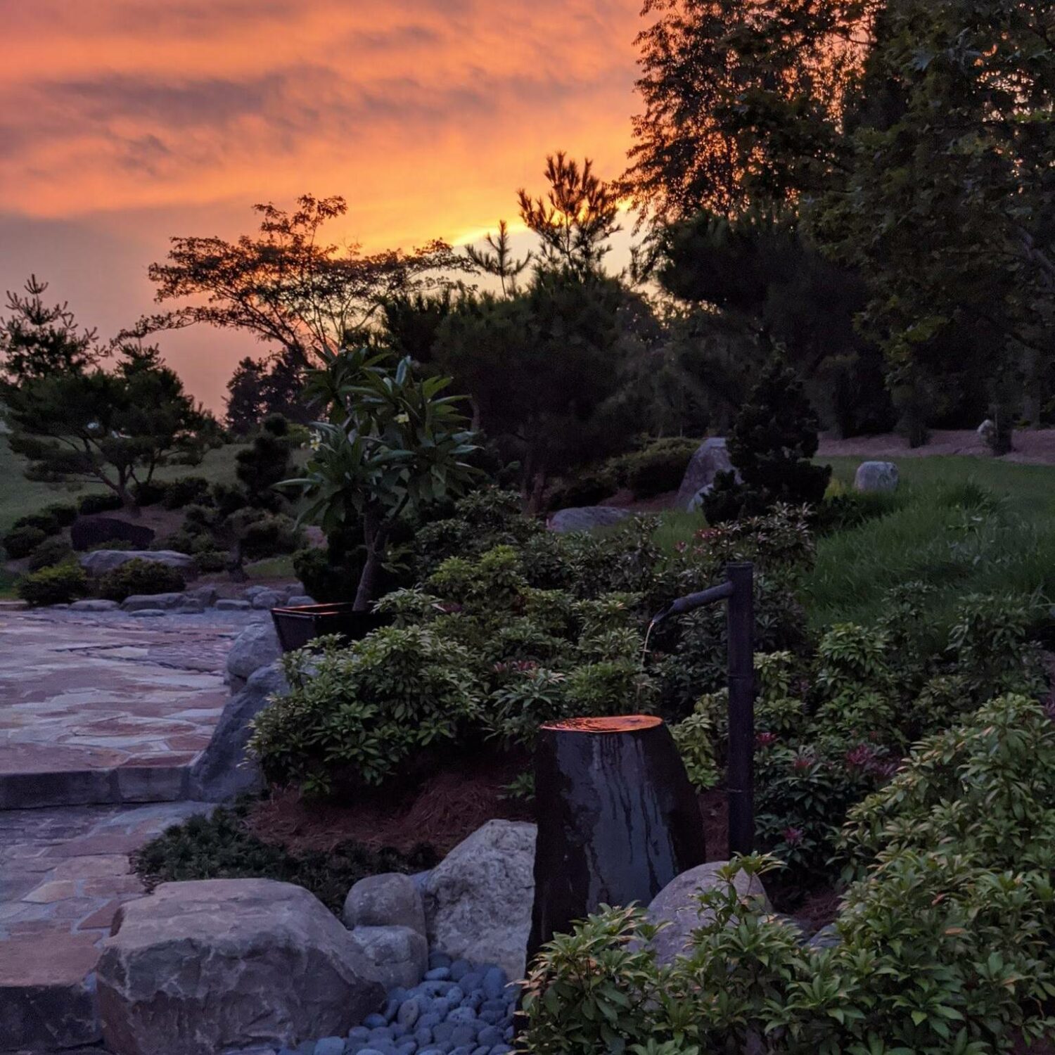 Good Advice – Hanselman Landscape & Gardens