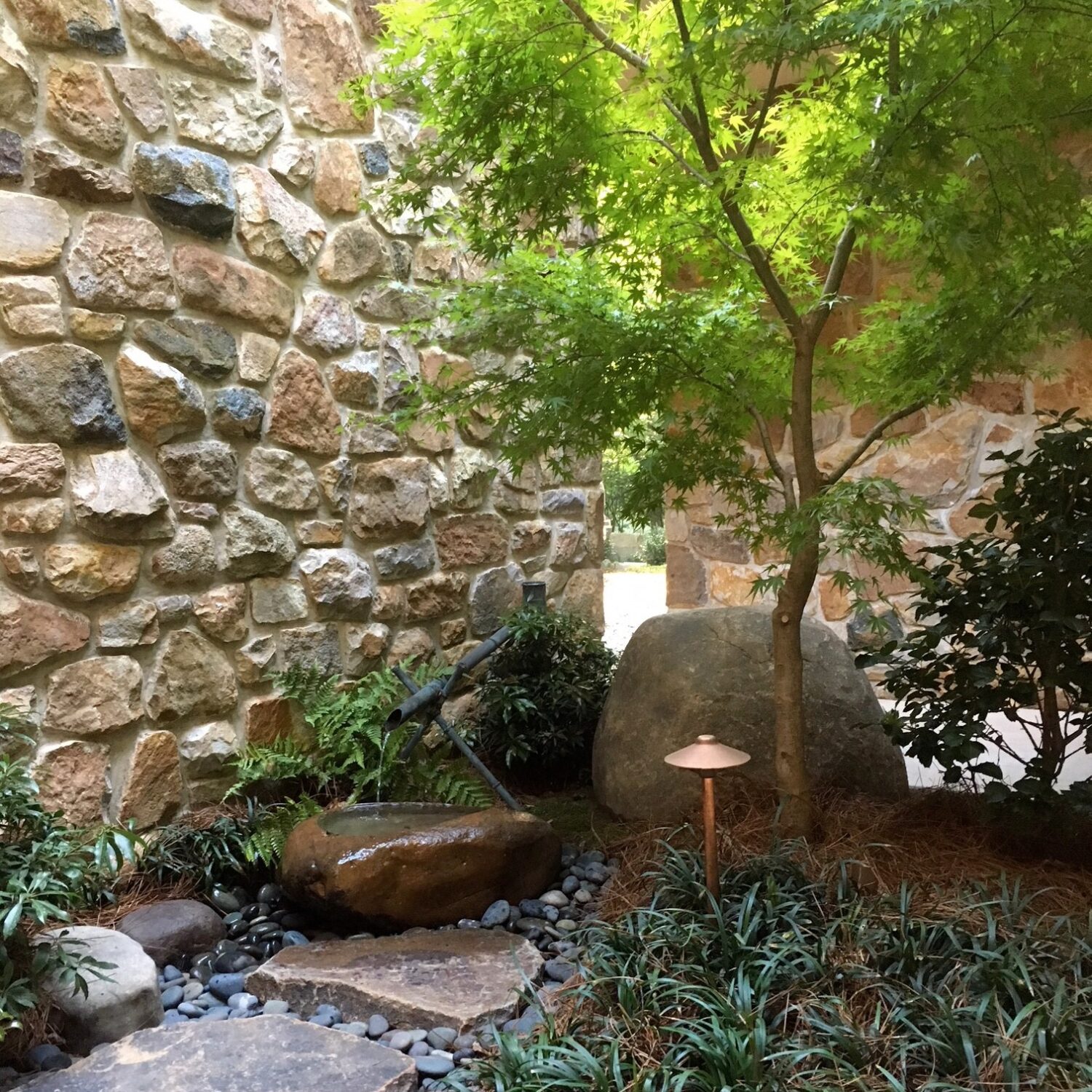 Marvelous Maple – Hanselman Landscape & Gardens